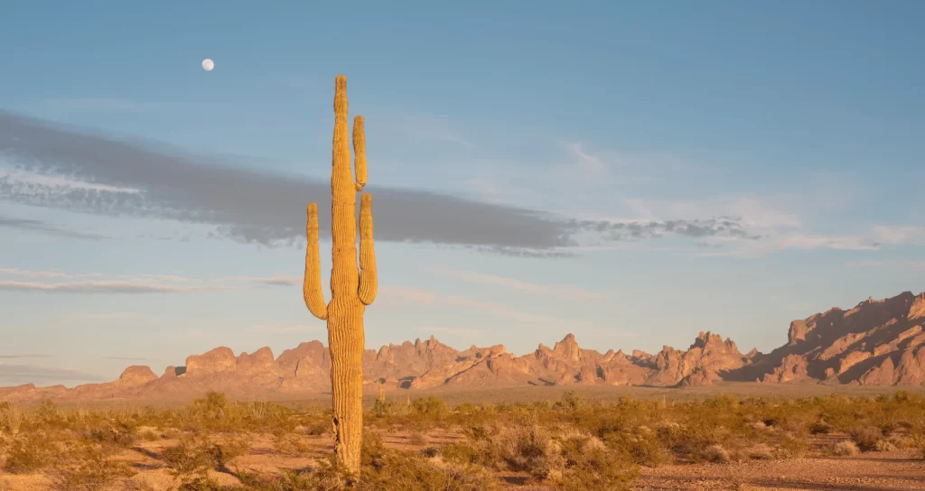 Cactus Trails & Desert Skies: A 3-Day Saguaro National Park RV Getaway ...